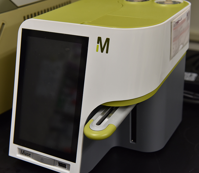 FACILITIES | Department of Metallic Biomaterials, Institute of ...